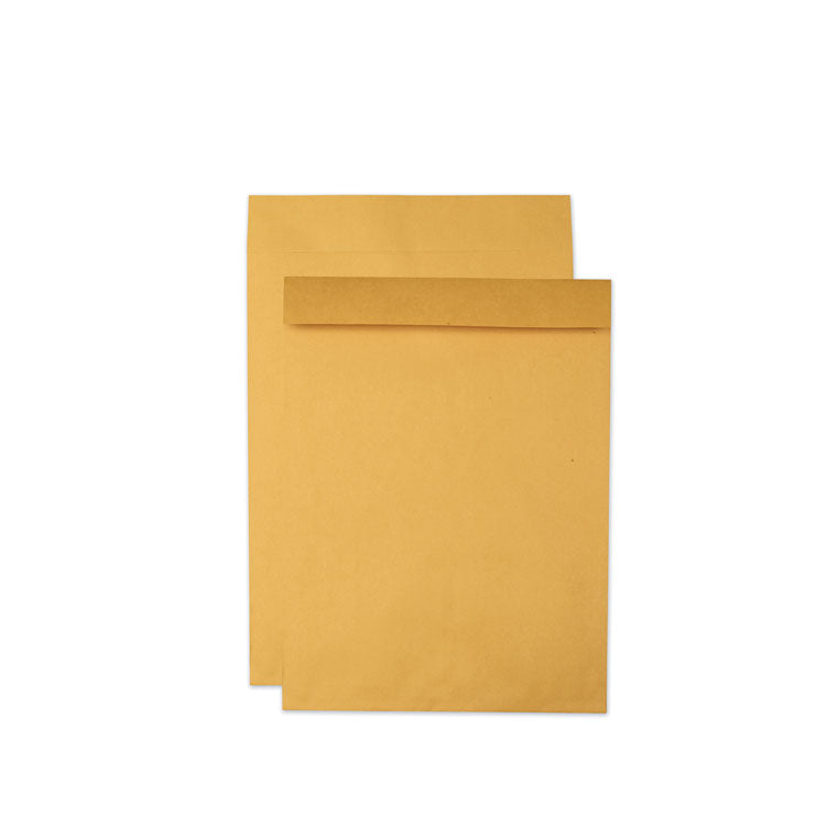 Jumbo Size Kraft Envelope, Cheese Blade Flap, Fold-Over Closure, 17 x ...